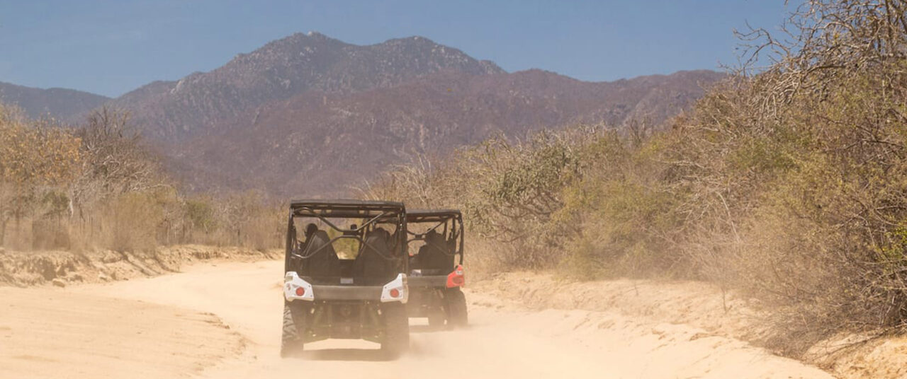Exploring Los Cabos by Land: 6 Things to Do | Costa Palmas
