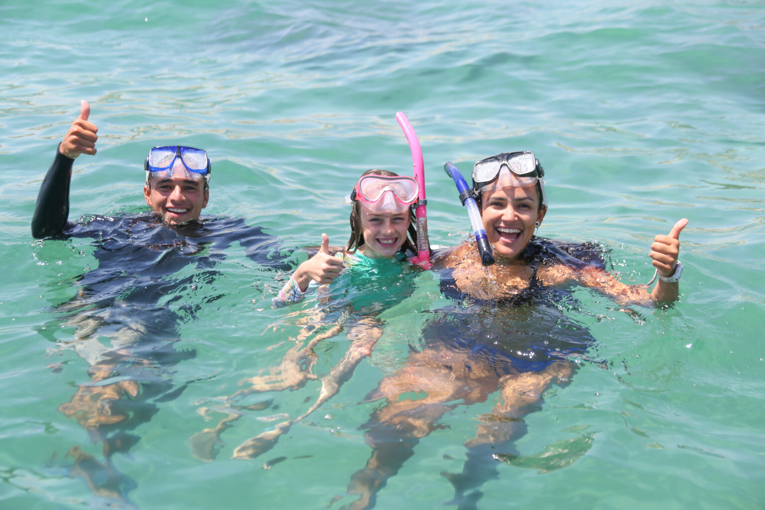 Must-Try Activities in and around East Cape | Costa Palmas